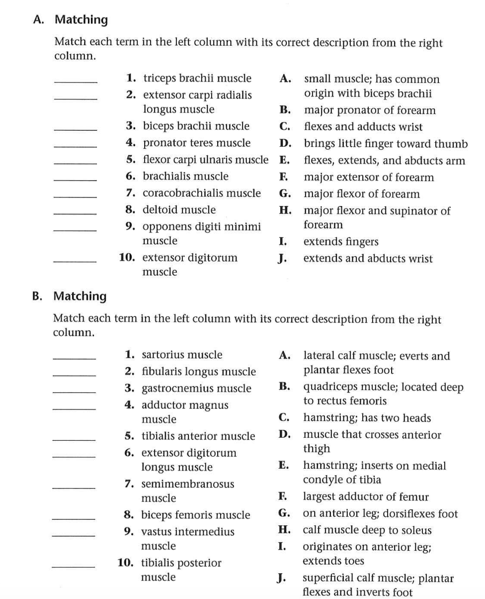 Solved Match each term in the left column with its correct | Chegg.com