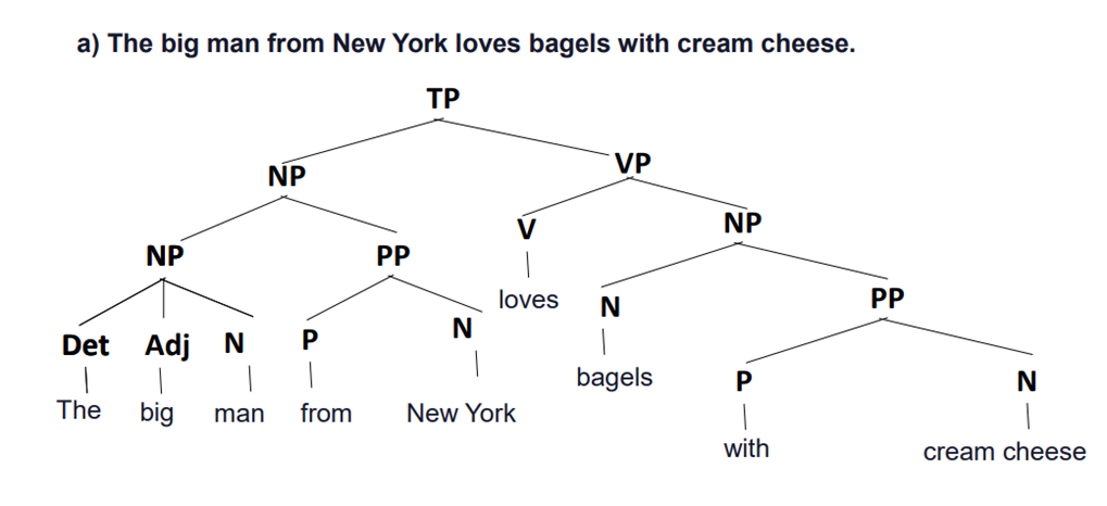 Using phrase structure rules, draw the trees for the | Chegg.com
