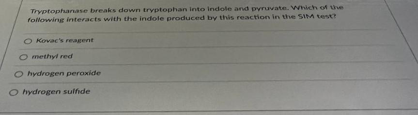 Solved Tryptophanase breaks down tryptophan into indole and | Chegg.com