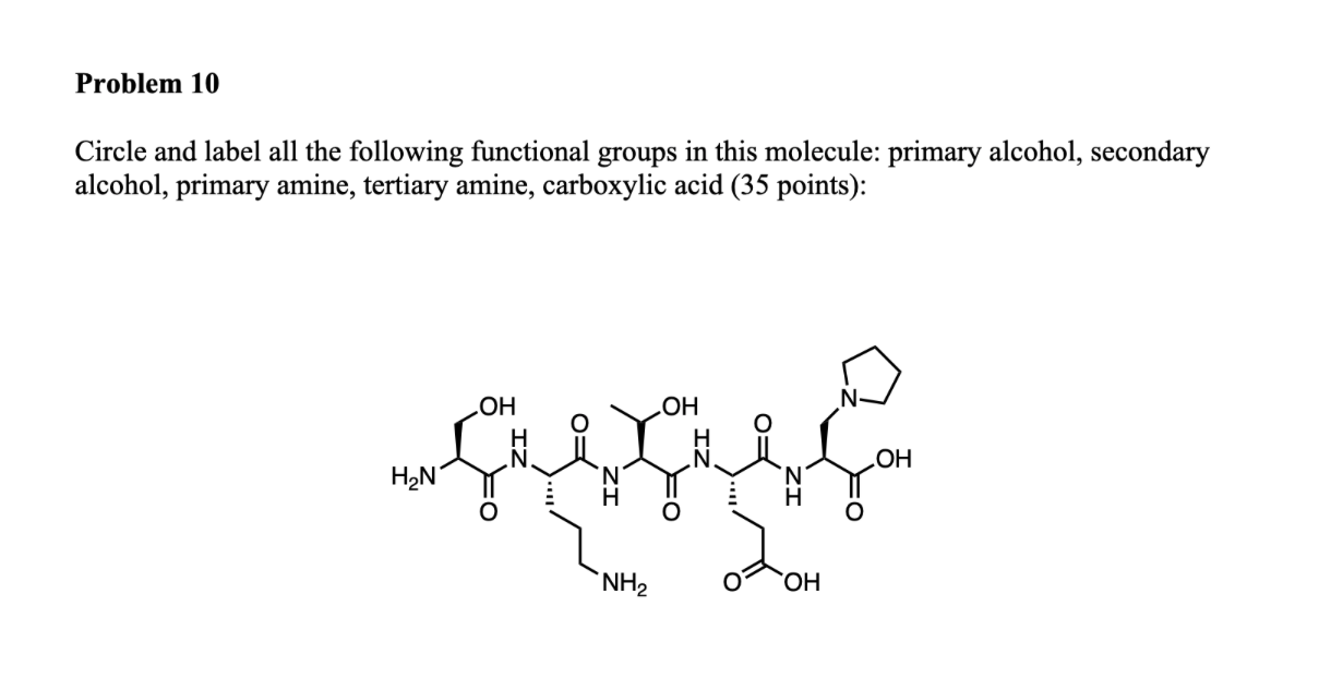 Solved Problem 10 Circle and label all the following | Chegg.com