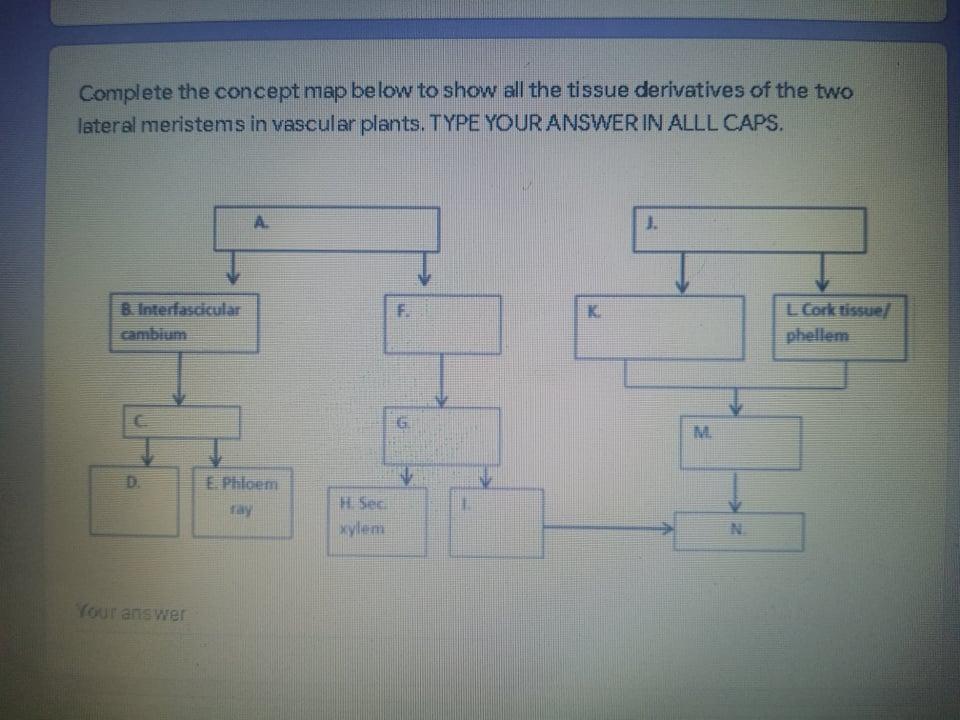Solved Complete the concept map below to show all the tissue | Chegg.com