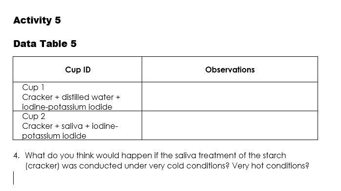 Solved ACTIVITY 5 A Modeling Salivary Digestion of Starch 1. | Chegg.com