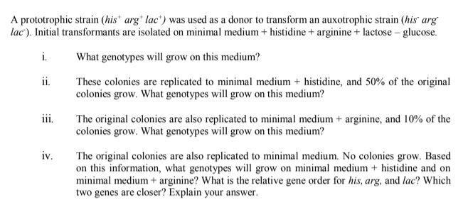 Solved A prototrophic strain (his arg lac") was used as a | Chegg.com
