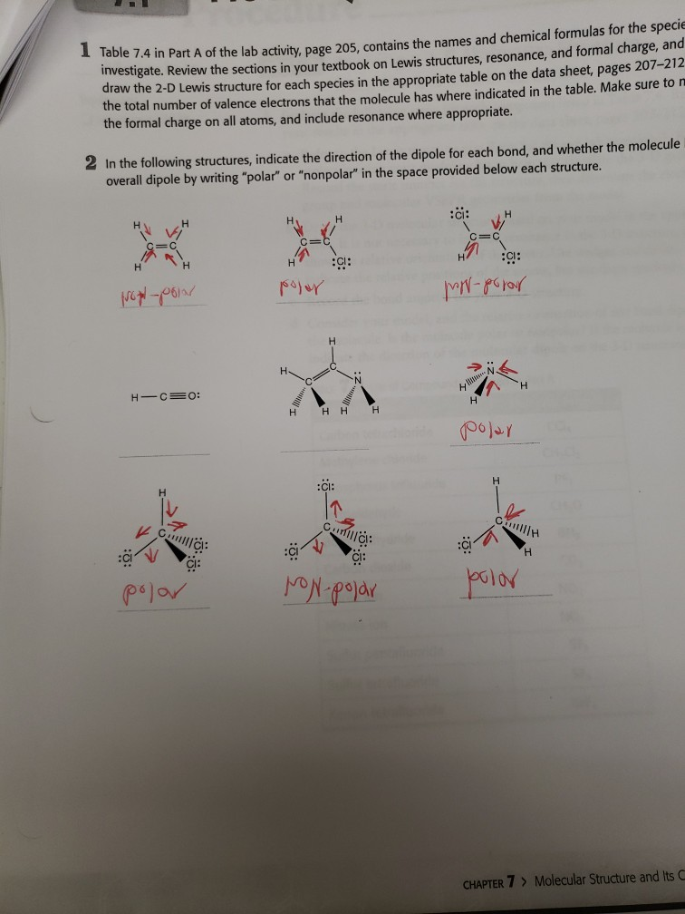 Solved lable 7.4 in Part A of the lab activity, page 205, | Chegg.com