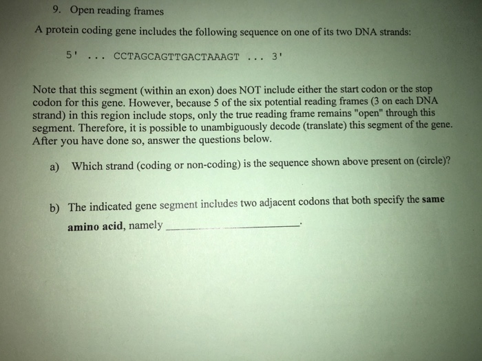 Solved 9. Open reading frames A protein coding gene includes | Chegg.com