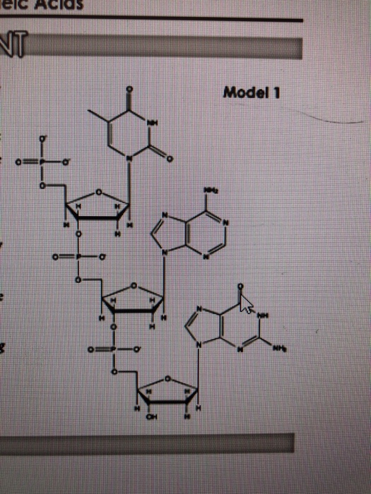 Solved . Identify non -covalent interactions that occur | Chegg.com