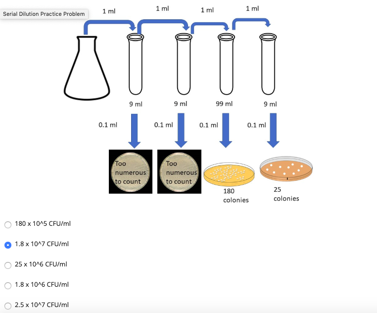 Solved Calculate the CFU/ml in the flask. Answer must be in | Chegg.com