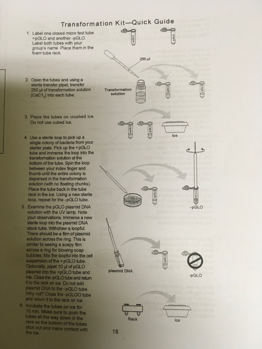 Solved Name Before collecting data and analyzing your | Chegg.com