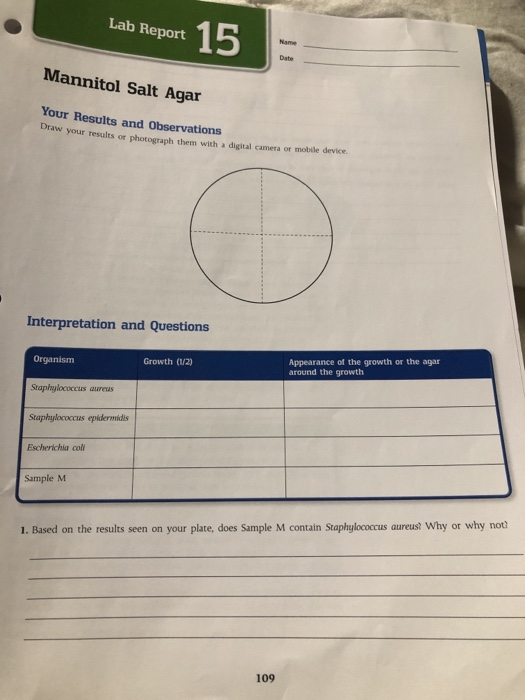 Lab Report 15 Mannitol Salt Agar Your Results and | Chegg.com