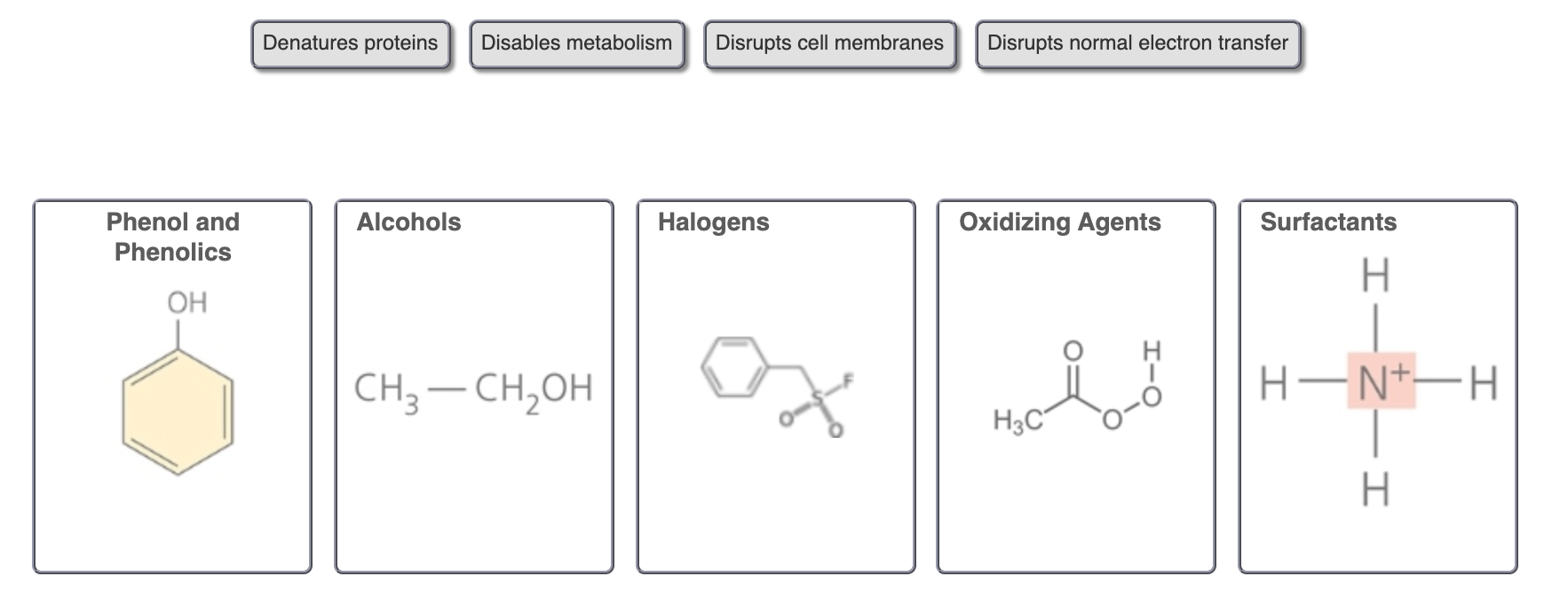 Solved Chemical methods of microbial control affect one or | Chegg.com