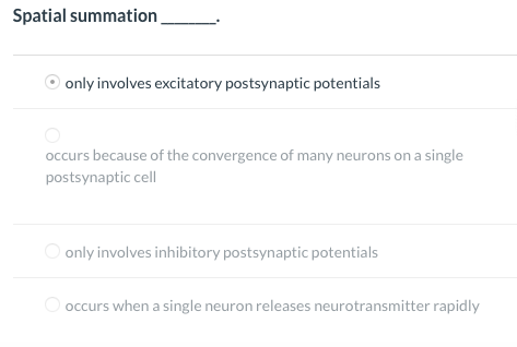 Solved Spatial summation only involves excitatory | Chegg.com