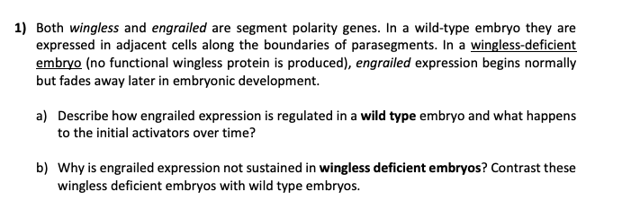 Solved 1) Both wingless and engrailed are segment polarity | Chegg.com