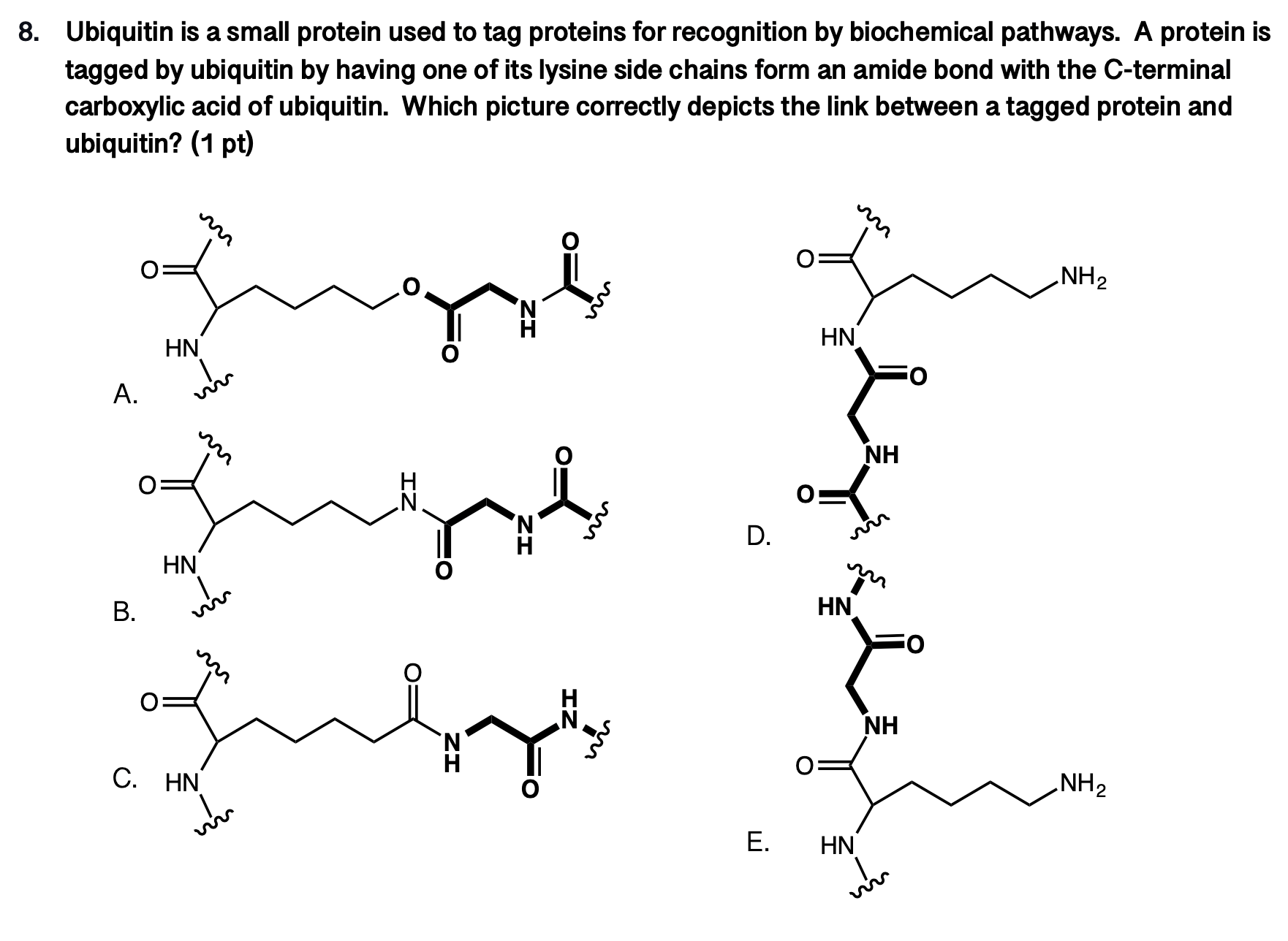 Solved Ubiquitin is a small protein used to tag proteins for | Chegg.com