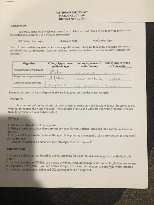Microbiology Culture Media Chart - Ponasa