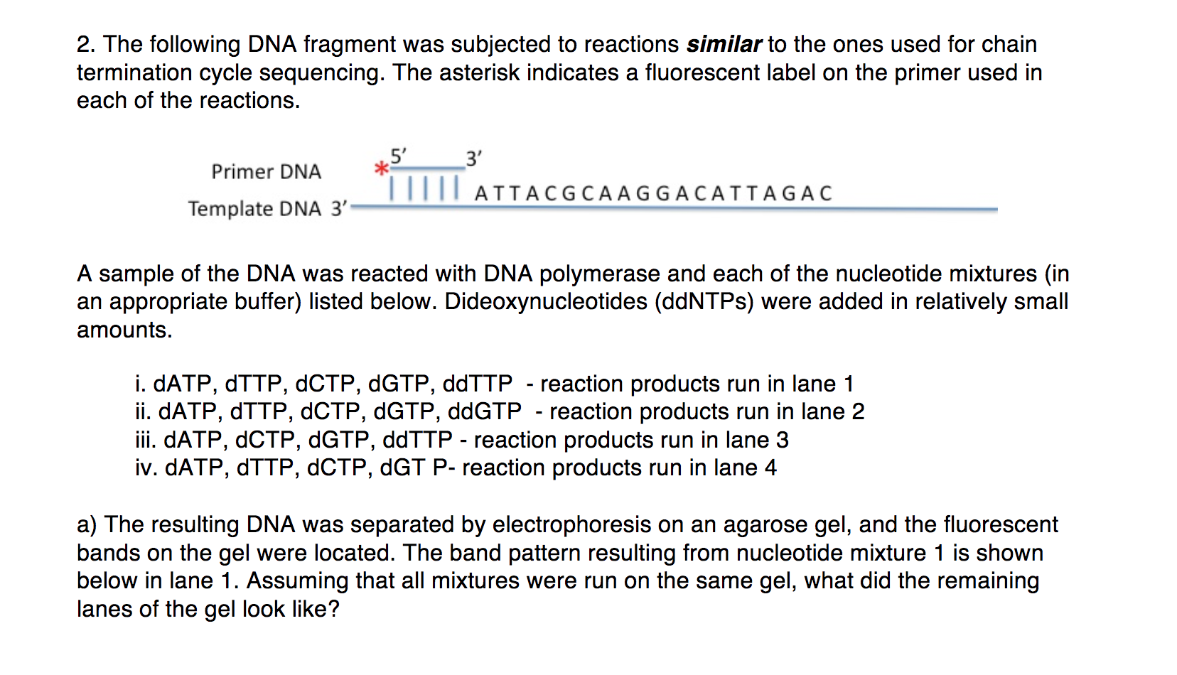 2. The following DNA fragment was subjected to | Chegg.com