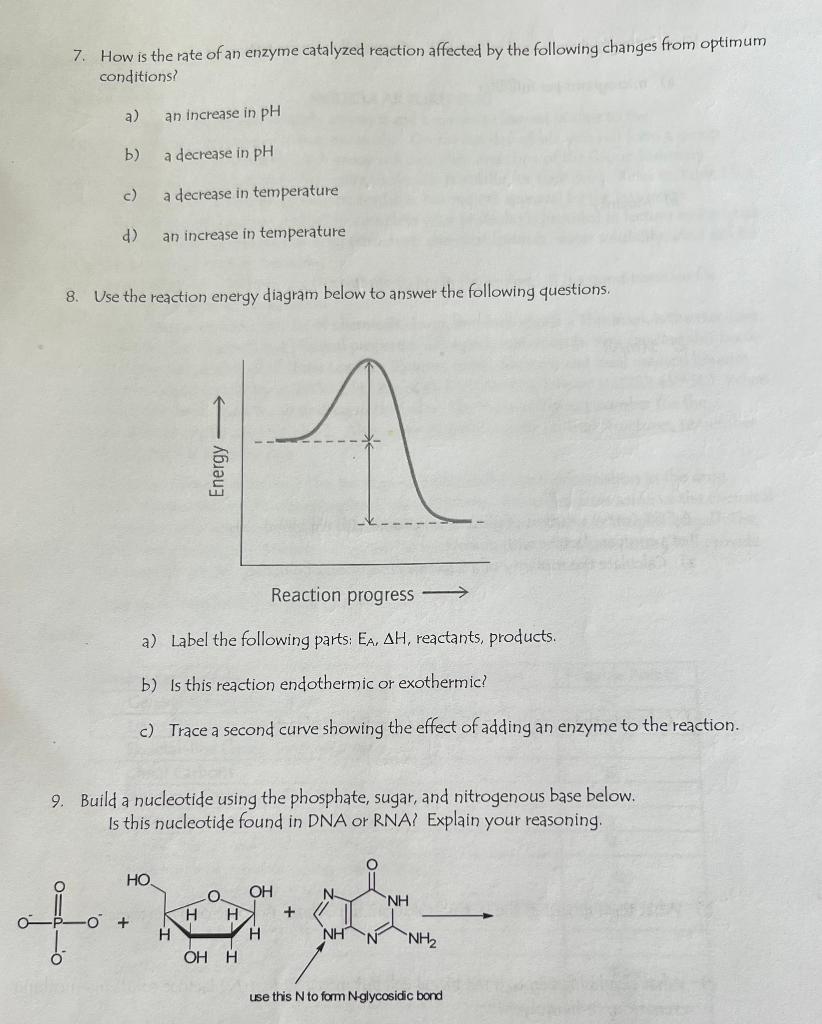 Solved 7. How is the rate of an enzyme catalyzed reaction | Chegg.com