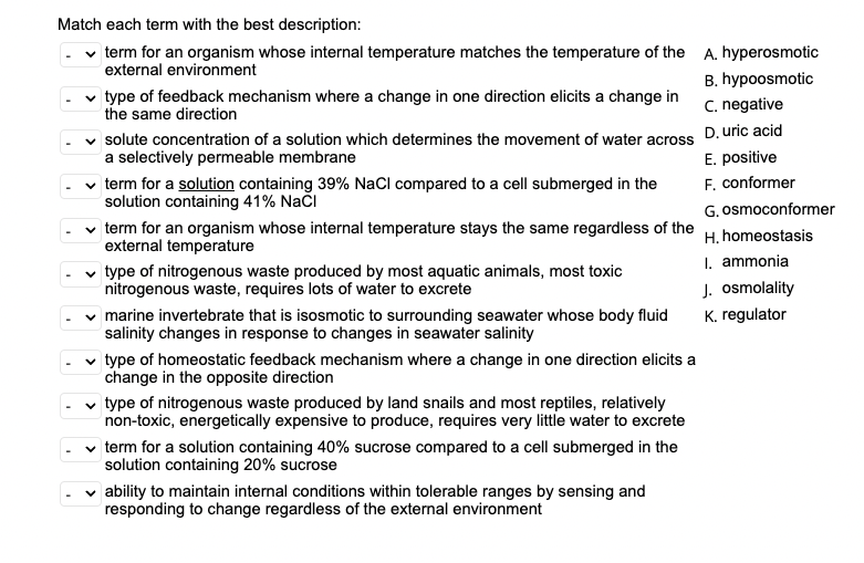 Solved Match each term with the best description: term for | Chegg.com