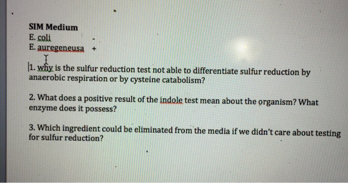 Solved SIM Medium E. coli 1. why is the sulfur reduction | Chegg.com