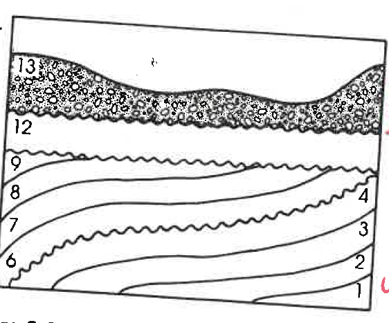 Solved Organizing a Sequence of Geological Events For the | Chegg.com