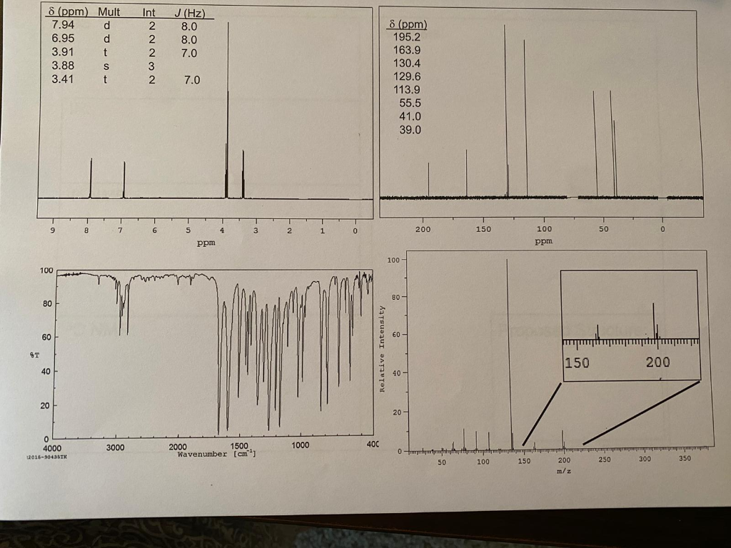 Solved following the example provided in red text, interpret | Chegg.com