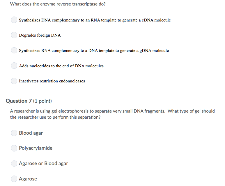 Solved What does the enzyme reverse transcriptase do? | Chegg.com