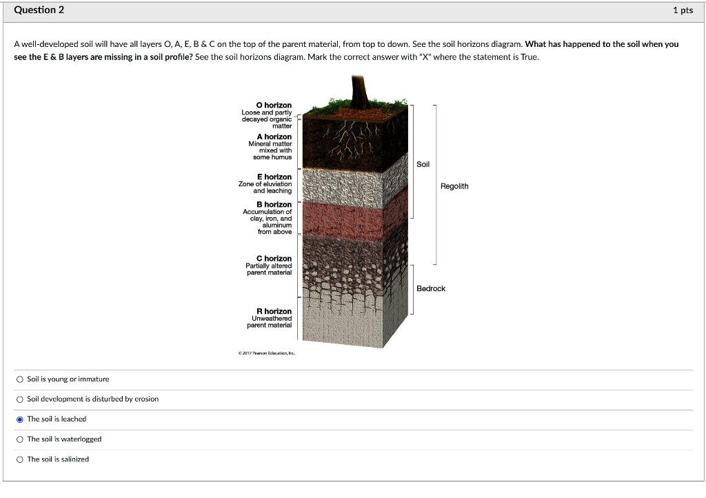 Solved A well-developed soil will have all layers O, A, E, B | Chegg.com