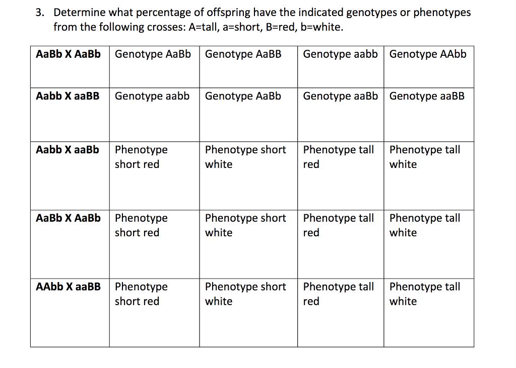 Solved 3. Determine what percentage of offspring have the | Chegg.com