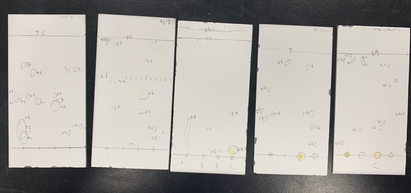 These are TLC plates from my lab that I need | Chegg.com