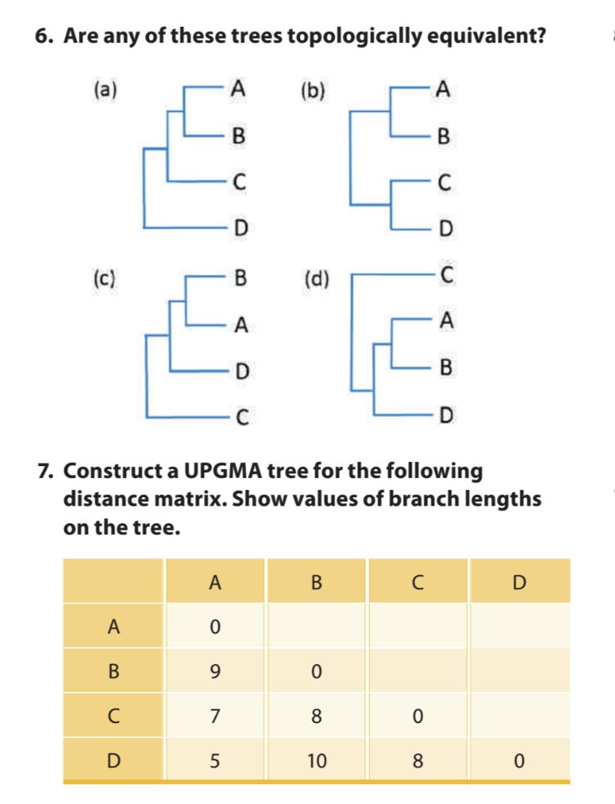 Solved 6. Are any of these trees topologically equivalent? | Chegg.com