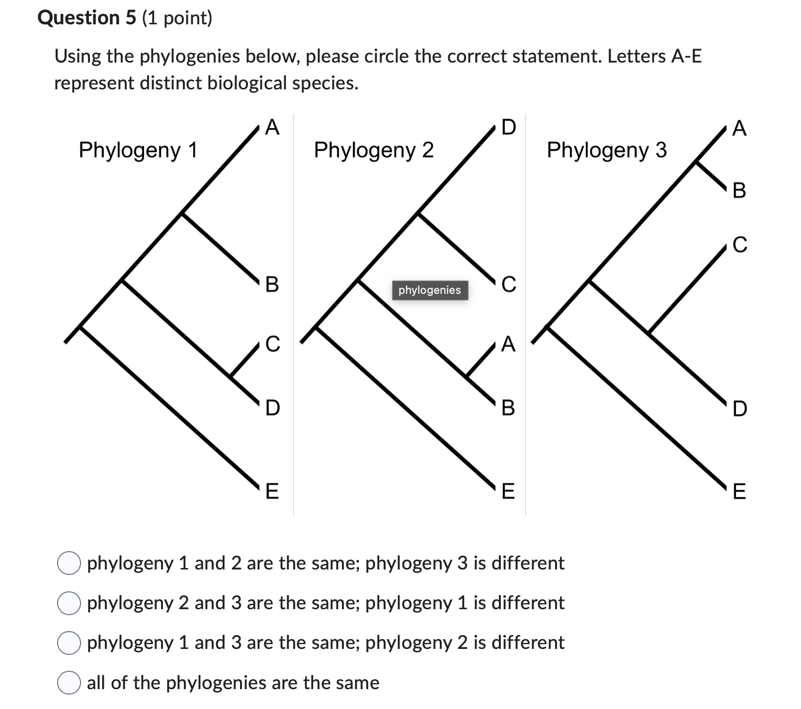 Solved Using the phylogenies below, please circle the | Chegg.com