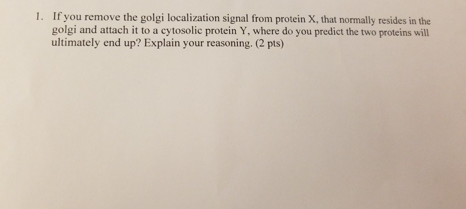 Solved 1 If You Remove The Golgi Localization Signal From