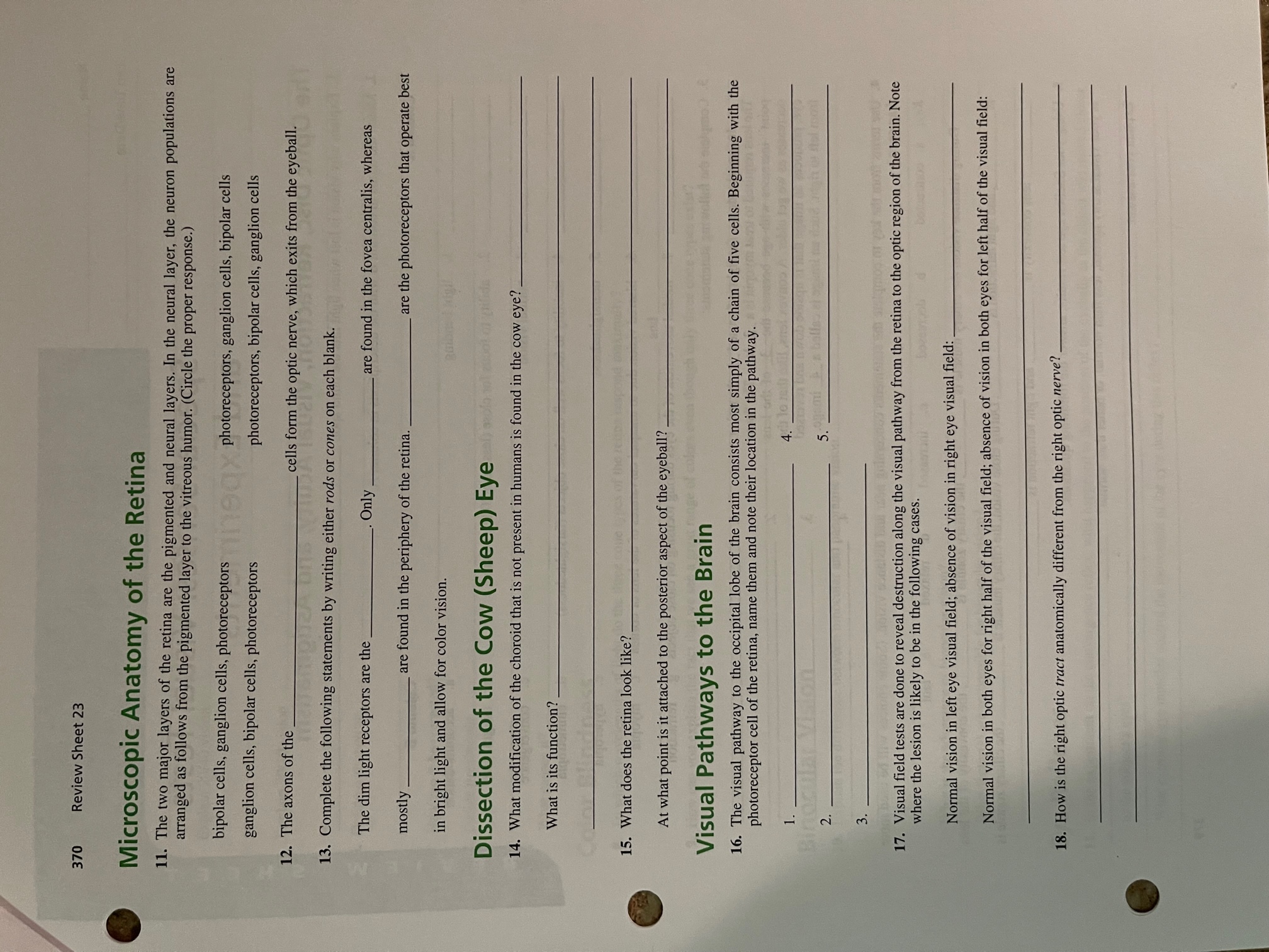 Solved 6. Correctly identify each lettered structure in | Chegg.com