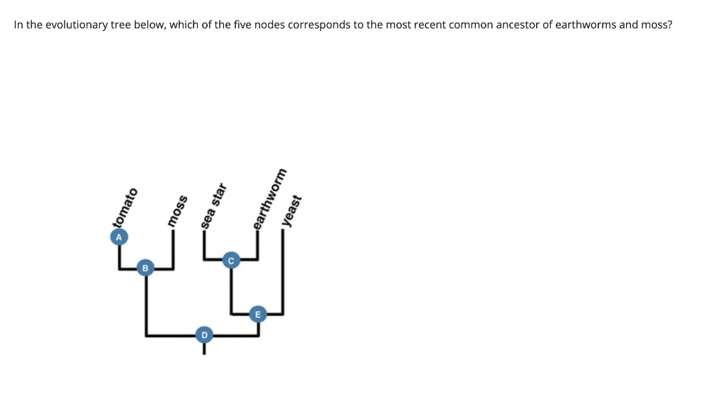 Solved A. node A B. node B C. node C D. node D E. node E | Chegg.com
