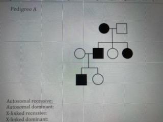 Solved Exercise 1: For each of the pedigrees below, Label | Chegg.com
