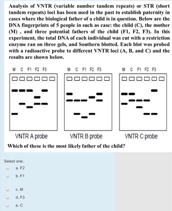 Solved Analysis Of Vntr Variable Number Tandem Repeats Or