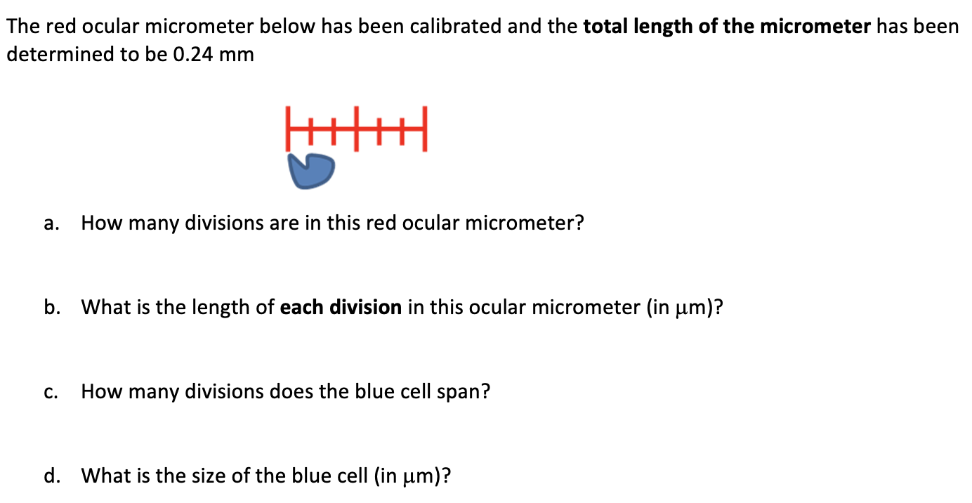 Solved The red ocular micrometer below has been calibrated | Chegg.com