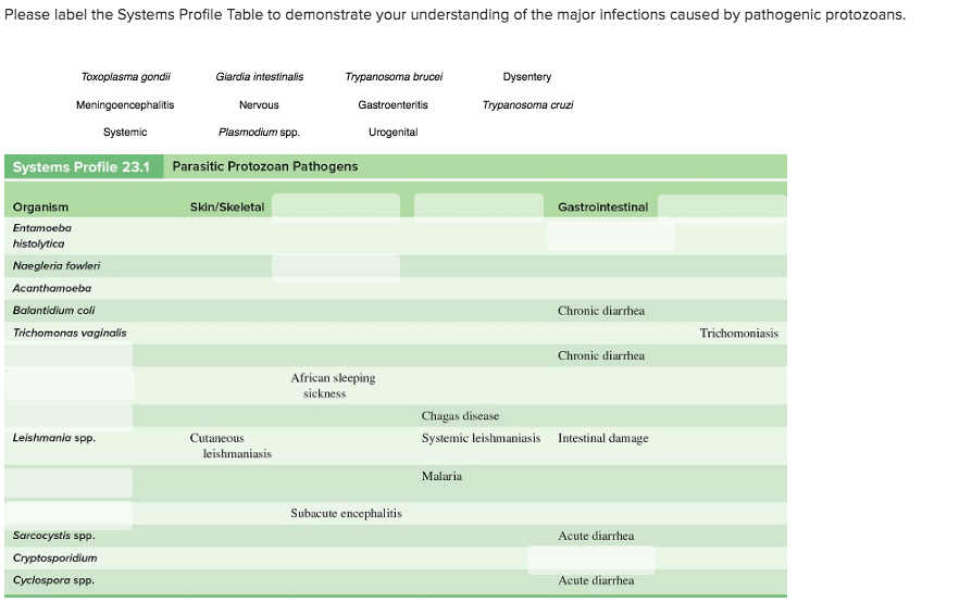 Solved Please label the Systems Profile Table to demonstrate | Chegg.com Solved Please label the Systems Profile Table to demonstrate | Chegg.com
