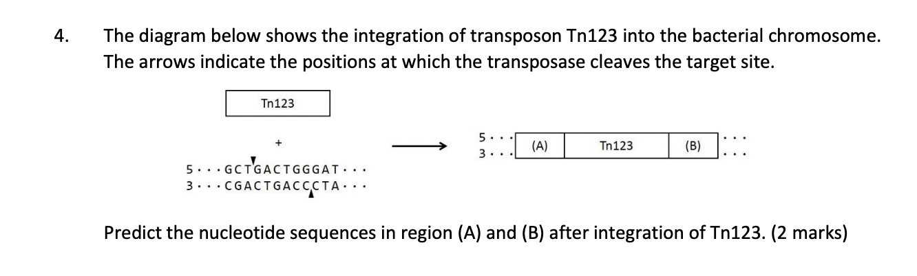 Solved The diagram below shows the integration of transposon | Chegg.com
