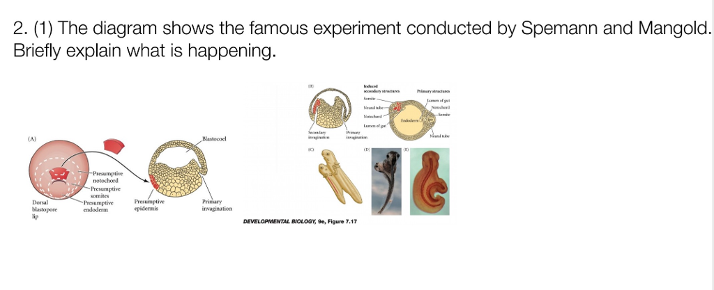 Solved 2. (1) The diagram shows the famous experiment | Chegg.com