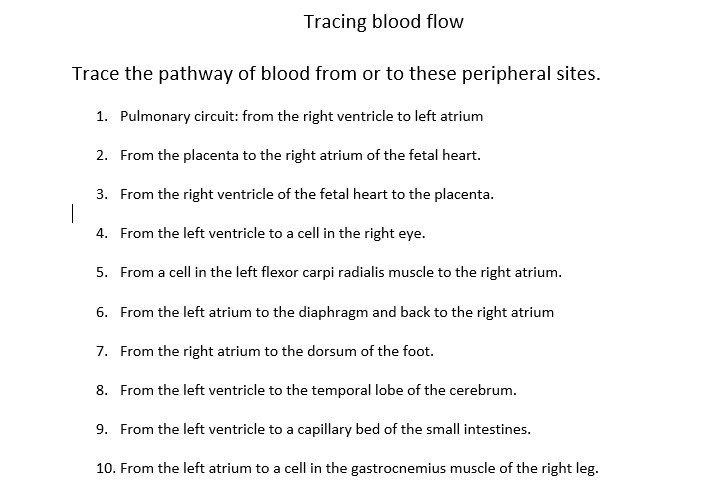 Solved Tracing blood flow Trace the pathway of blood from or | Chegg.com