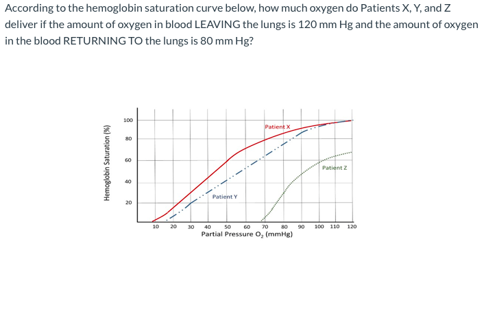 Solved According to the hemoglobin saturation curve below, | Chegg.com