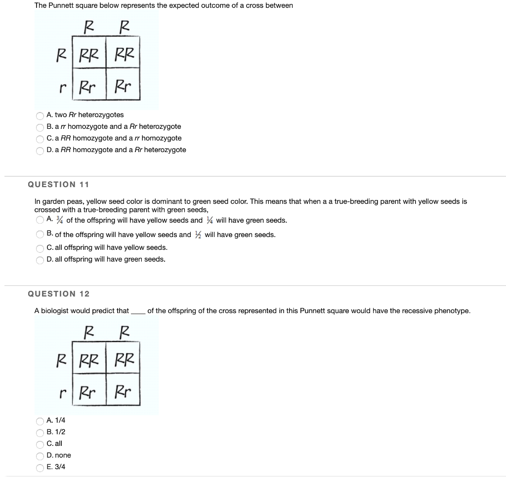 Solved In the Punnett square below, the letters that are | Chegg.com