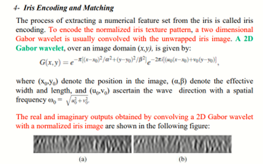 Solved 4- Iris Encoding and Matching The process of | Chegg.com