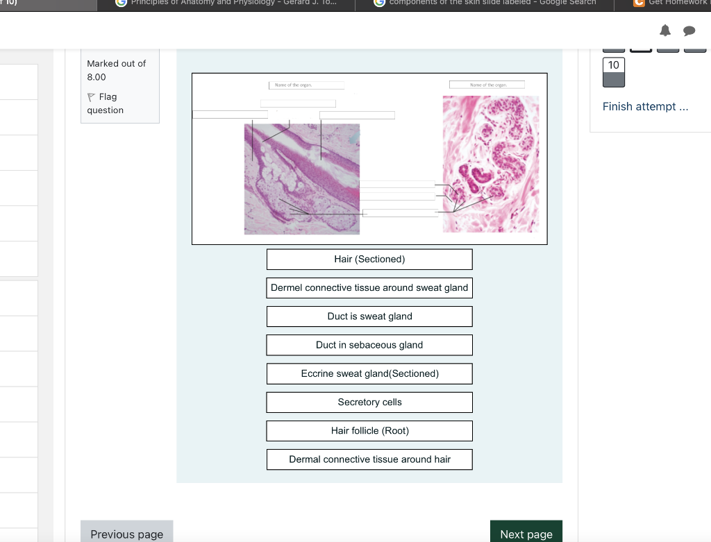 Solved Principles Anatomy and Physiology – Gerard J. 10... | Chegg.com