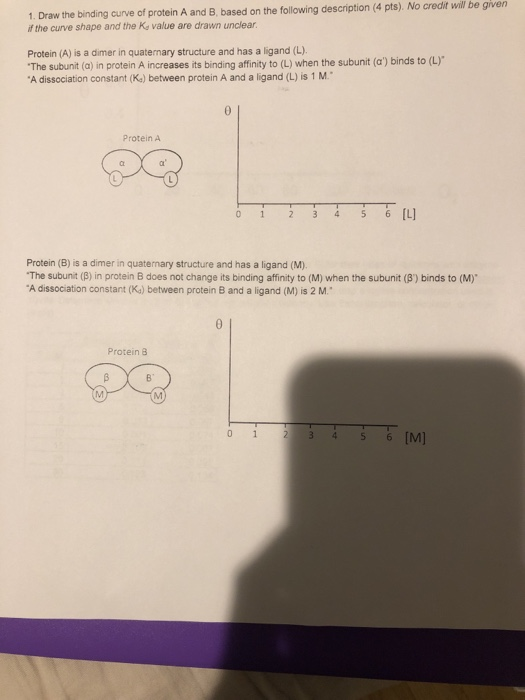 Solved 1. Draw the binding curve of protein A and B, based | Chegg.com