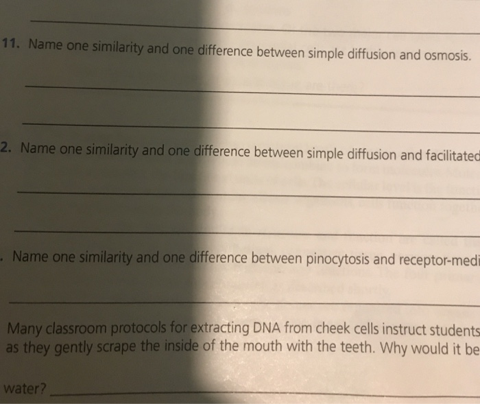 Solved 11. Name one similarity and one difference between | Chegg.com