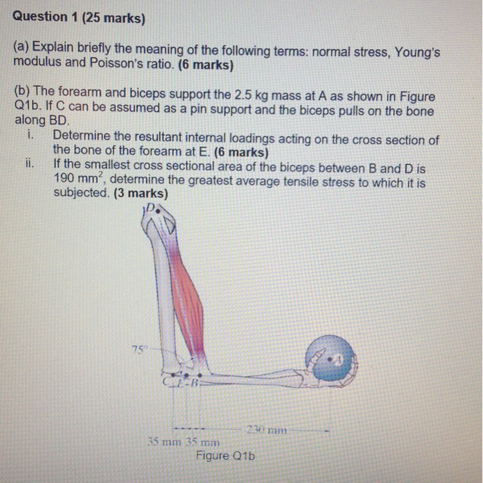 Solved Question 1 (25 marks) (a) Explain briefly the meaning | Chegg.com