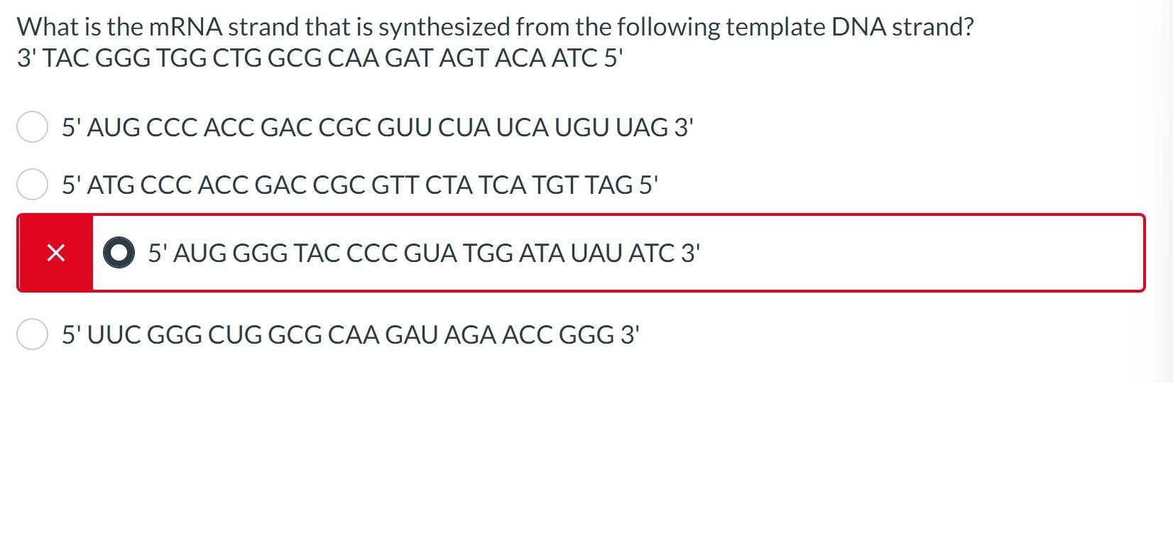 Solved What is the mRNA strand that is synthesized from the | Chegg.com