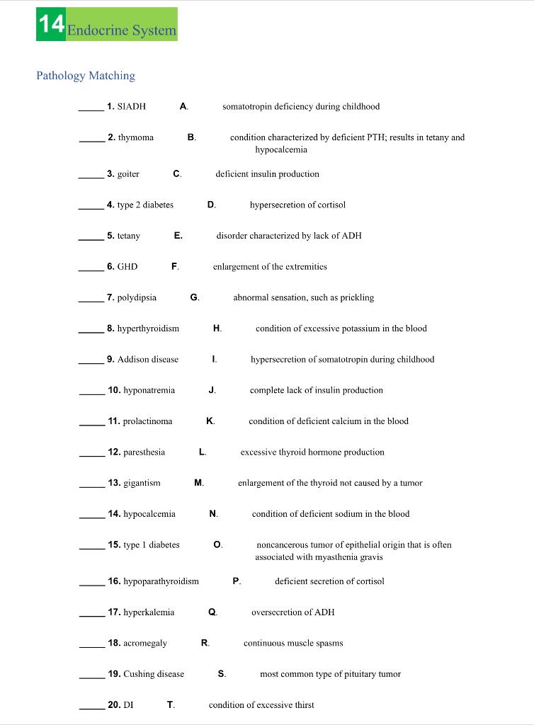 Solved 14 Endocrine System Pathology Matching 1. SIADH A. | Chegg.com