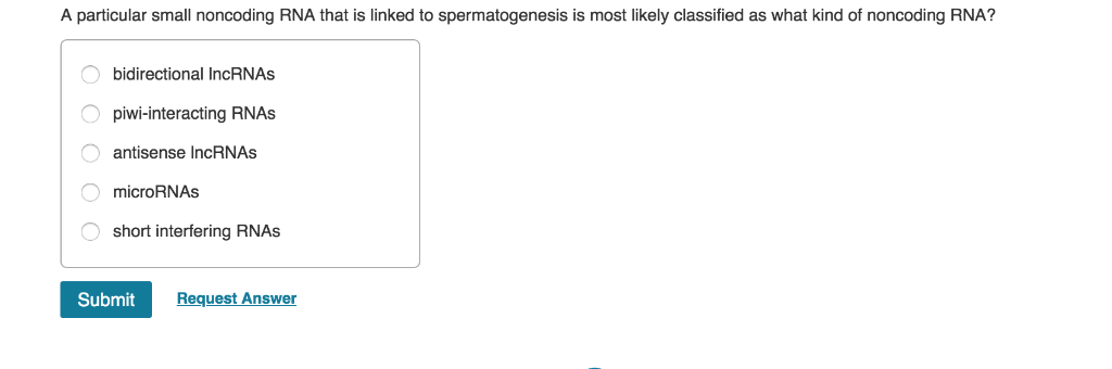Solved A particular small noncoding RNA that is linked to | Chegg.com